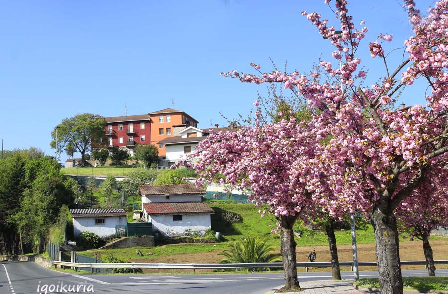 Arrigorriaga – Euskal Herriko postalak